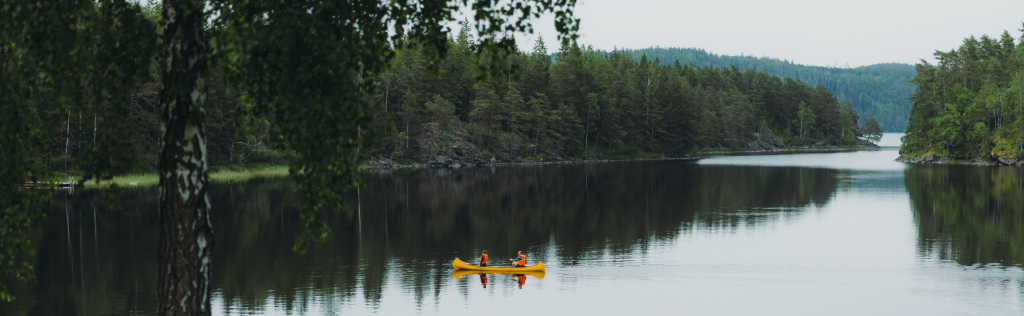 Yliaktiivinen rakko: yksinkertainen selitys - Virtsarakko